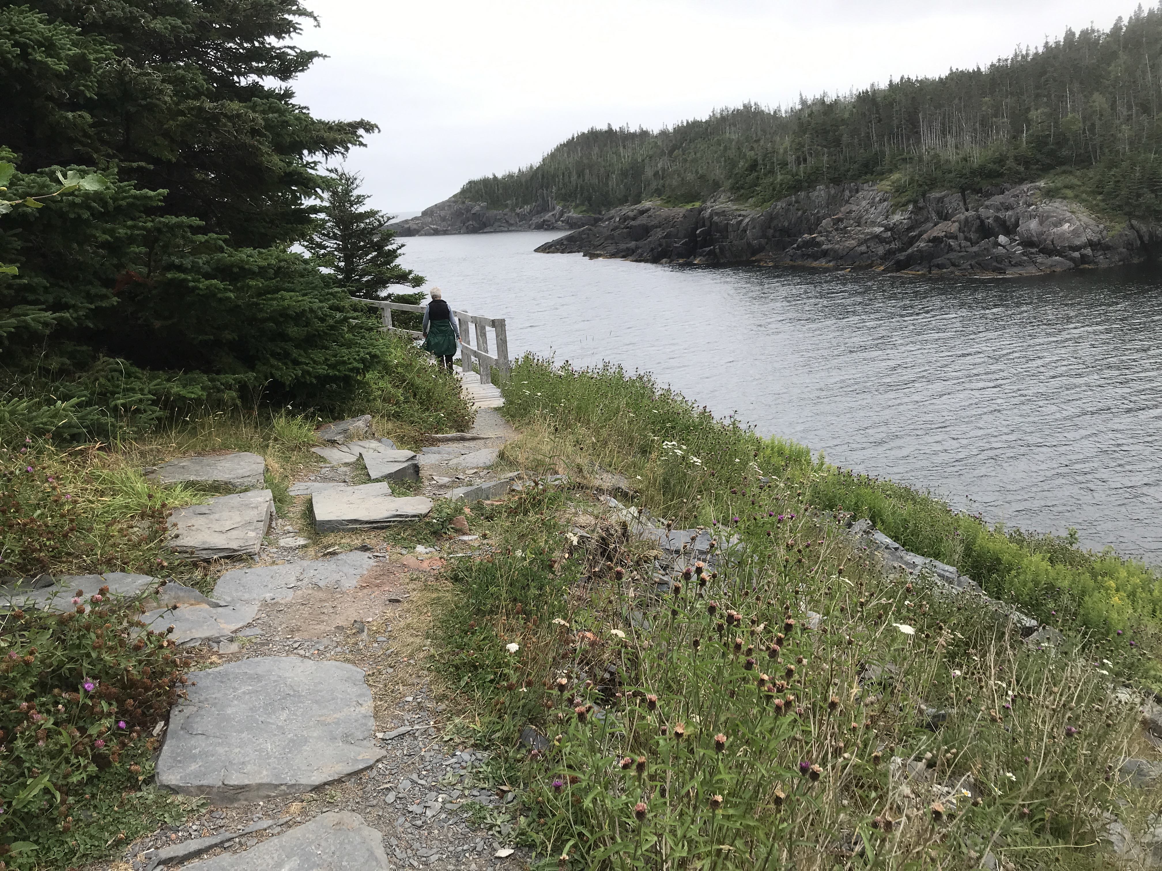 Avalon Wilderness Reserve & East Coast Trail – Airstream Time