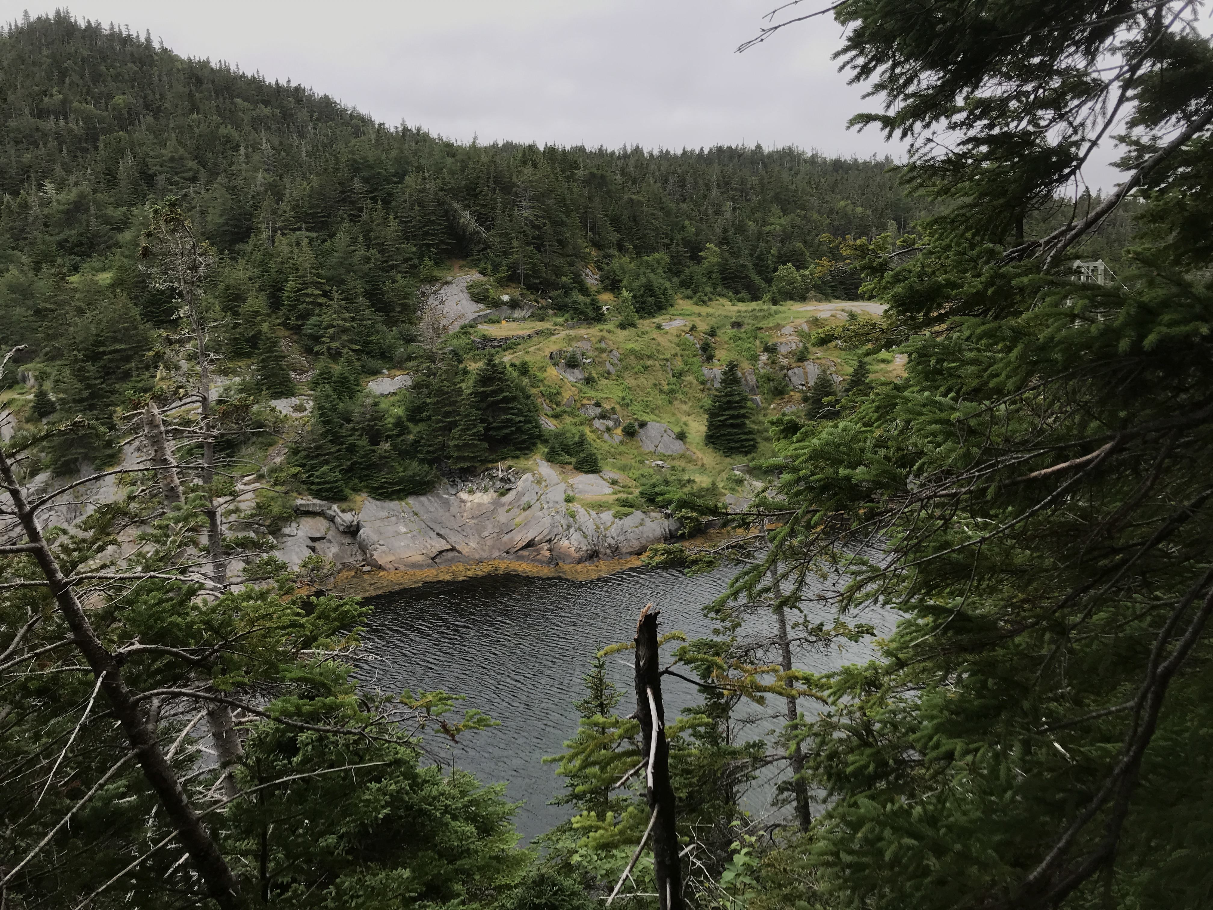 Avalon Wilderness Reserve & East Coast Trail – Airstream Time